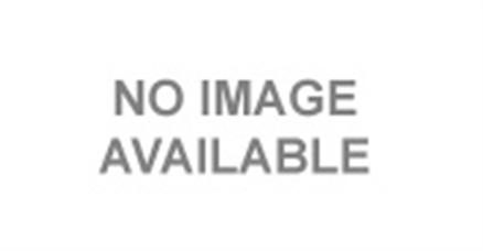Cystotome Curved Formed 25 Gauge | Storz® Ophtalmic and ENT Instruments ...